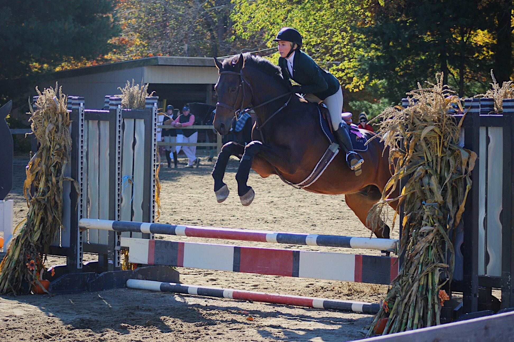 Home | Equestrian Team | University of Connecticut